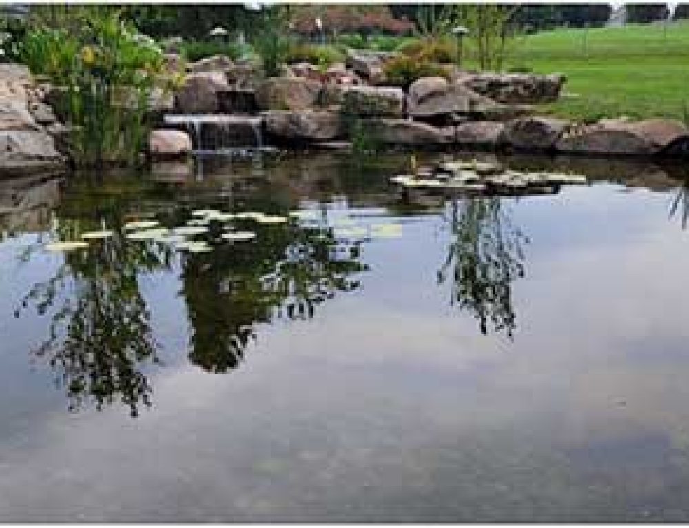 What to know before adding a UV light to your pond – Ponds by Bee ...